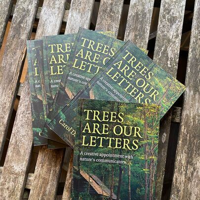 Carrie Day: Storytelling in Film Production